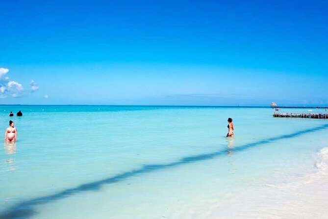 Isla Contoy! Explore a Bird Sanctuary from Cancun - Pricing and Value