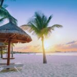 Isla Contoy & Isla Mujeres All inclusive with Buffet & open Bar - What To Expect Throughout the Day