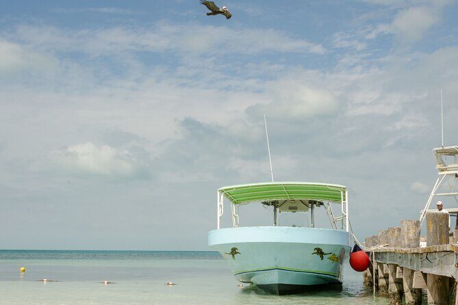 Isla Contoy Private Day Tour, from Cancun - Authentic Insights from Reviews