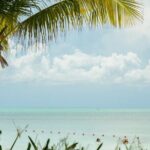 Isla Contoy Snorkeling Experience with Buffet - The Real Experience: Authentic Insights