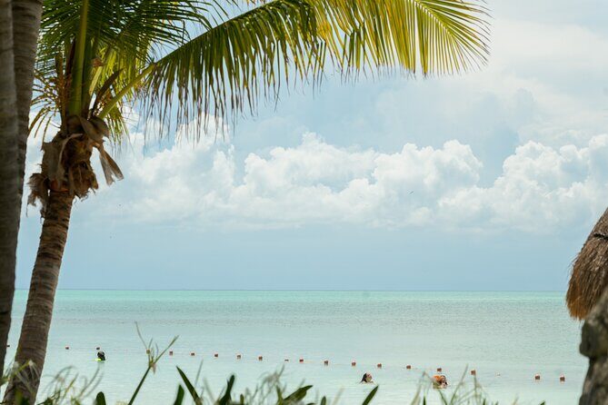 Isla Contoy Snorkeling Experience with Buffet - The Real Experience: Authentic Insights