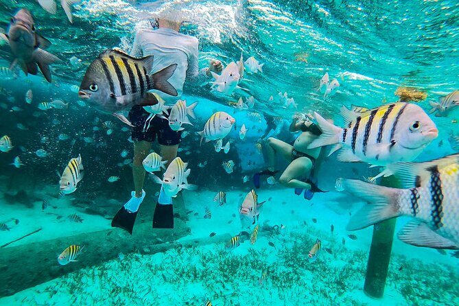 Isla Mujeres and Cancun Snorkeling and Fishing Combo - What to Expect from This Tour