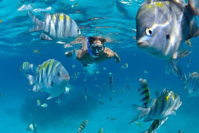 Isla Mujeres Catamaran Adventure All Inclusive from Cancun - Artisanal Tequila Tastings