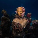 Isla Mujeres: MUSA and the Manchones Reef: 2 Tank Dive Tour - Who Should Consider This Tour?