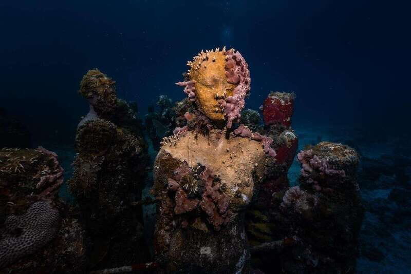 Isla Mujeres: MUSA and the Manchones Reef: 2 Tank Dive Tour - Who Should Consider This Tour?