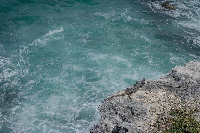 Isla Mujeres Private Excursion - Who Is This Tour Best For?