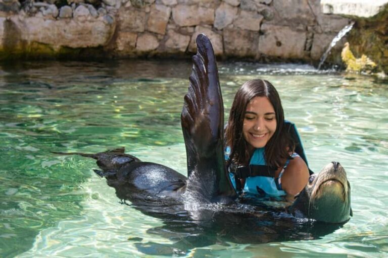 Isla Mujeres: Sea Lion & Manatee Interaction with Buffet - Who Will Love This Tour?