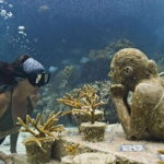 Isla Mujeres: Snorkeling in Underwater Museum - Whats Included and What Costs Extra