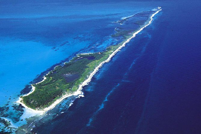 Island Contoy Adventour & Buffete & Isla Mujeres only from Cancun - The Practical Details