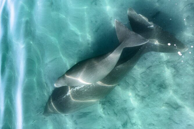 Island Life Adventures | A Day at Dirk - Practical Details: What You Need to Know