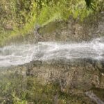 Island of Maui Customized Half Day Tour - Meeting Points and Logistics