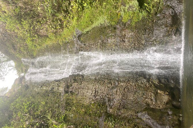 Island of Maui Customized Half Day Tour - Meeting Points and Logistics