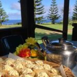 Island Orientation Tour with Airport Transfer Norfolk Island - Who Should Consider This Tour?