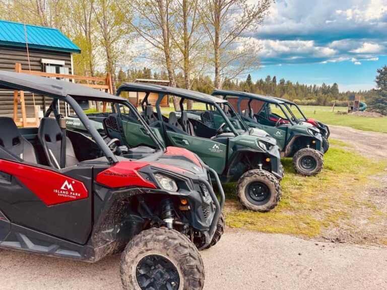 Island Park: Full-Day UTV Adventure - Why This Tour Stands Out