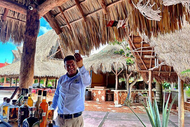 Island Tour in Cozumel, Mayan Show & Tacos - Breaking Down the Itinerary