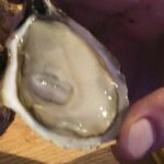 Island Tour with Oyster Tasting & Merroir Experience P.E.I. - Who Will Love This Tour?