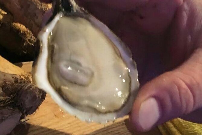 Island Tour with Oyster Tasting & Merroir Experience P.E.I. - Who Will Love This Tour?