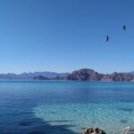 Islands of Loreto PRIVATE TOUR (Danzante y Sur de Carmen) - Whats Included & Why It Matters