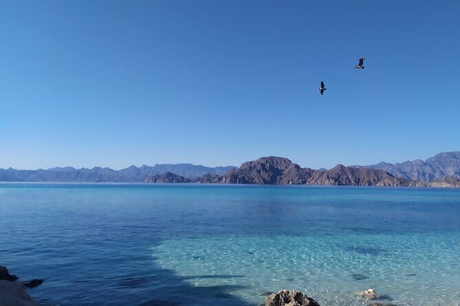 Islands of Loreto PRIVATE TOUR (Danzante y Sur de Carmen) - Whats Included & Why It Matters