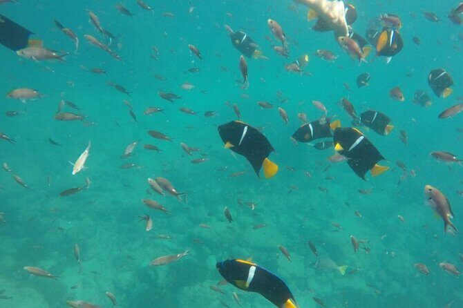 Islas Marietas PRIVATE enter hidden beach 100% GUARANTEED - Who Should Consider This Tour?