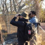 Ixtapa: Bird Watching Tour with Round-Trip Transportation - Who Will Love This Experience