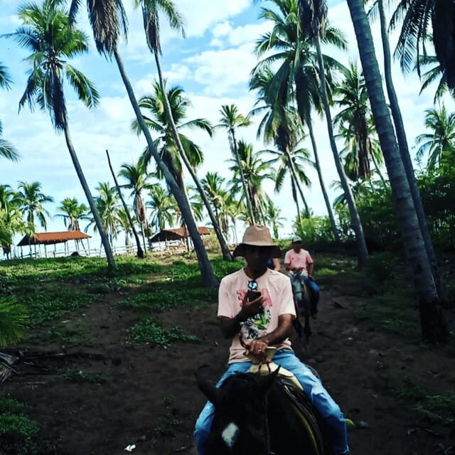 Ixtapa: Horseback Riding Tour Along Playa Larga - Exploring the Tour Experience