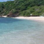 Ixtapa Island Tour - Exploring the Beaches and Marine Life