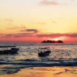 Ixtapa: Marine Life Exploration - What to Expect from the Marine Life Exploration