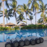 Ixtapa: Open Water Diver Course - The Dives and Marine Encounters