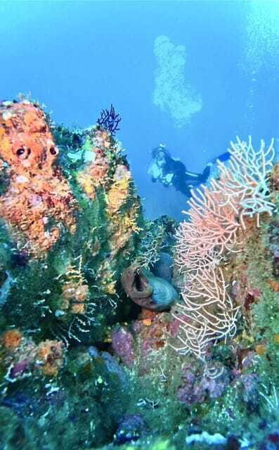 Ixtapa: Scuba Diver Course - Detailed Breakdown of the Experience