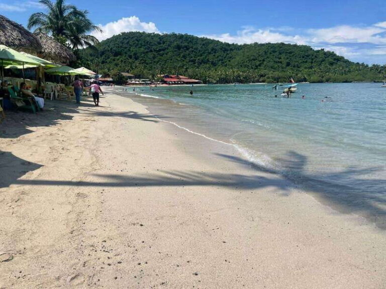 Ixtapa-Zihuatanejo: Island of Ixtapa Day Trip with Lunch - Who Will Love This Tour?