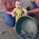 Ixtapa-Zihuatanejo: Turtle Release Tour. - The Practical Side: Price, Duration, and Accessibility