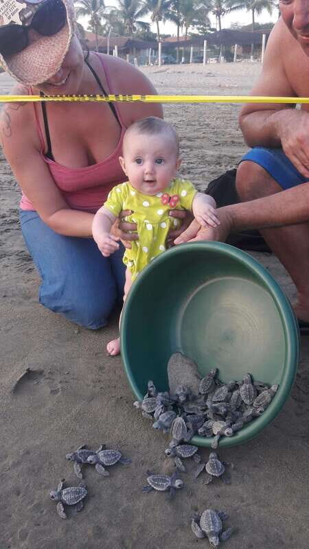 Ixtapa-Zihuatanejo: Turtle Release Tour. - The Practical Side: Price, Duration, and Accessibility