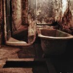 J Ward Lunatic Asylum Ghost Tour - Who Is This Tour Best For?