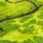 Jabiru: Guided Flight over Kakadu National Park - The Experience: An In-Depth Look at the Flight over Kakadu