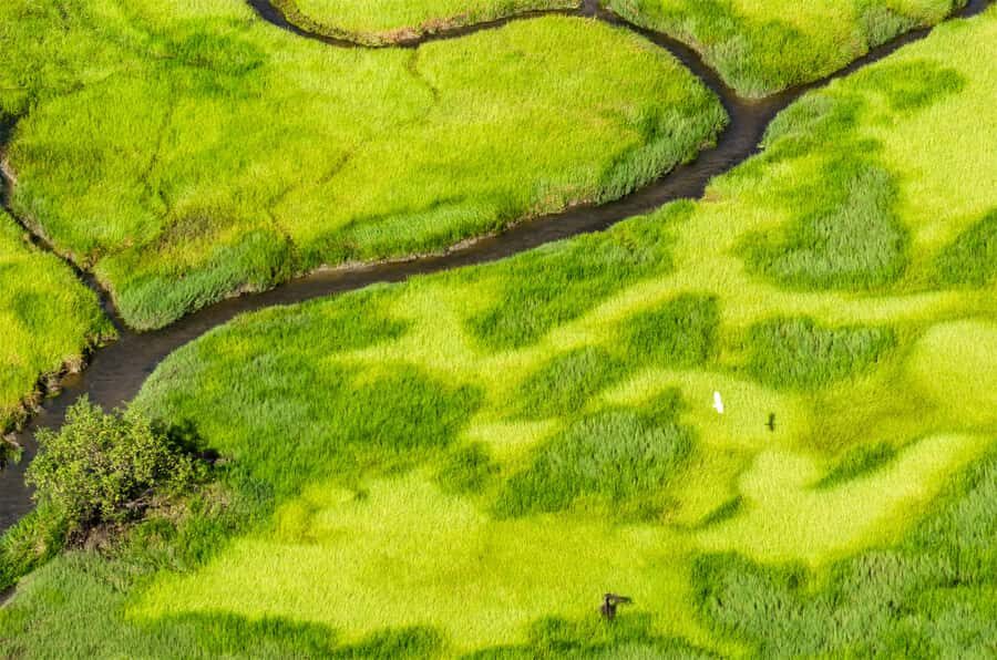 Jabiru: Guided Flight over Kakadu National Park - The Experience: An In-Depth Look at the Flight over Kakadu