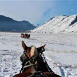 Jackson Hole: National Elk Refuge Sleigh Ride - Who Would Love This Tour?