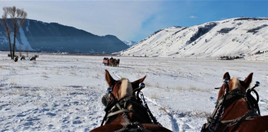 Jackson Hole: National Elk Refuge Sleigh Ride - Who Would Love This Tour?