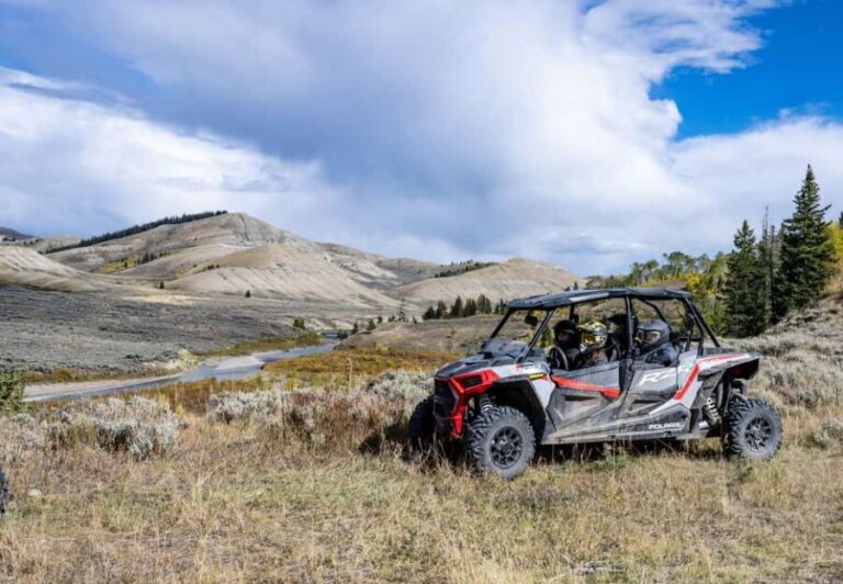 Jackson Hole: Side-by-Side Rental with Helmet & Goggles - Who Will Love This Experience?