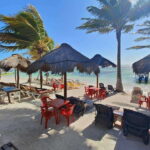 Jaimes at the blue Reef all you can eat + drinks - Final Thoughts