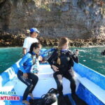 Jalisco: Scuba Diving at Los Arcos for Certified Divers - What to Expect from the Tour