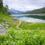 Jasper National Park Self-Guided Driving Audio Tour - Potential Drawbacks and User Experiences