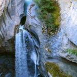 Jasper: Wildlife and Waterfalls Tour with Lakeshore Hike - Who Will Love This Tour?