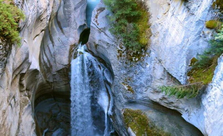 Jasper: Wildlife and Waterfalls Tour with Lakeshore Hike - Who Will Love This Tour?