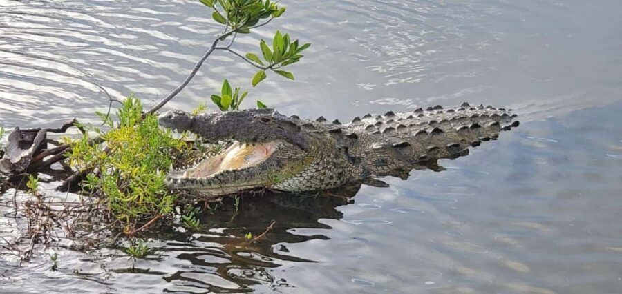 Jeep Tour to Punta Sur Eco Beach Park with Lunch - Why This Tour Offers Great Value