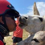 Jeep Wrangler Jk Hardtop 4 door - The Vehicle and Its Practicalities