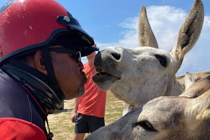 Jeep Wrangler Jk Hardtop 4 door - The Vehicle and Its Practicalities
