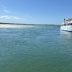 Jervis Bay and Shoalhaven South Coast NSW Private Tours - Is It Worth the Price?