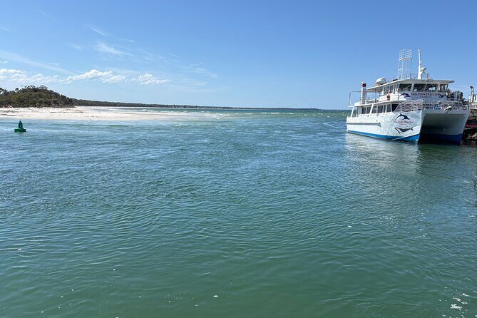 Jervis Bay and Shoalhaven South Coast NSW Private Tours - Is It Worth the Price?