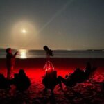 Jervis Bay Beach Stargazing Tour with our Astronomer - The Starting Point and Logistics